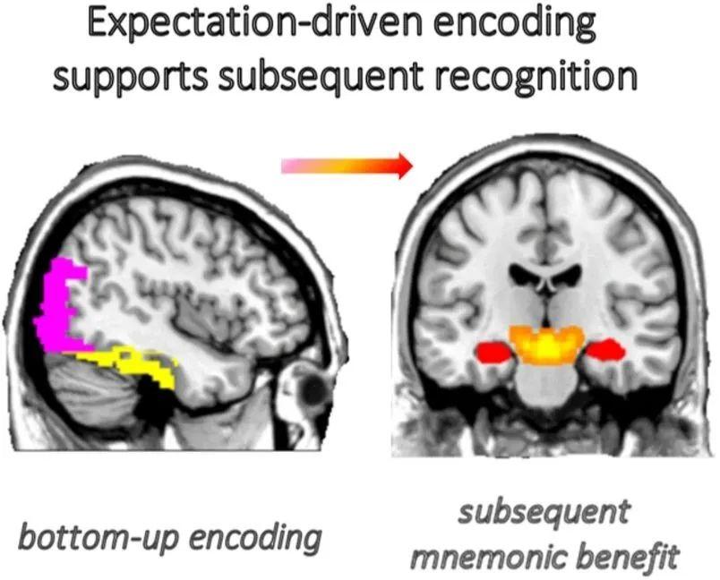 Why does an unfamiliar environment improve work efficiency? - iNEWS