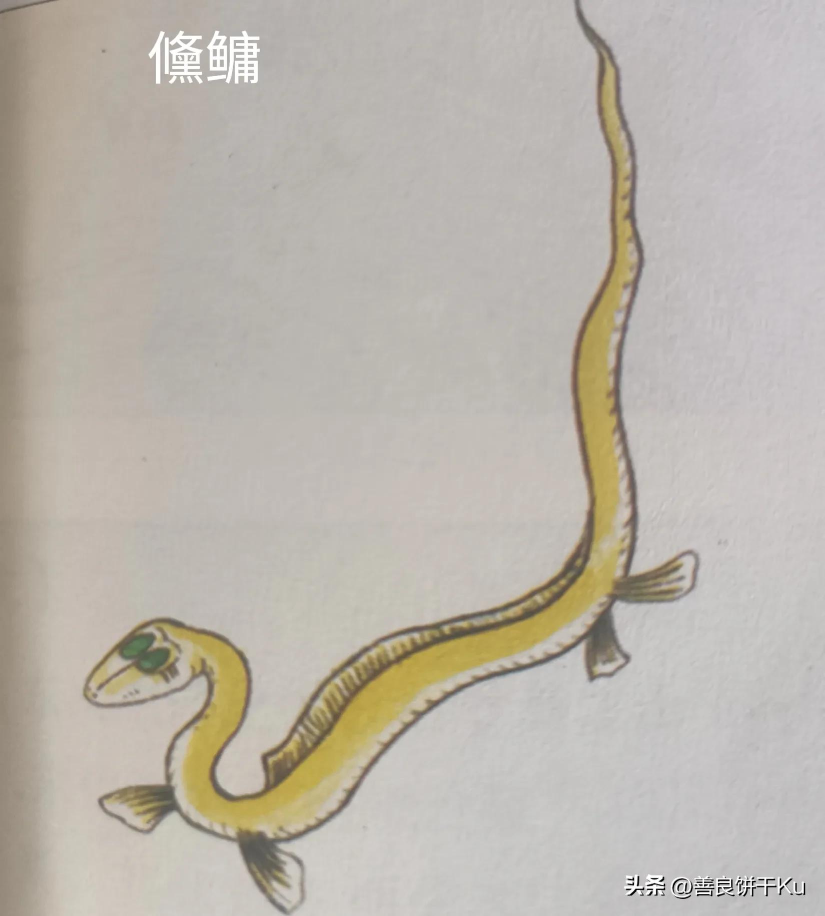 An Overview of Dongshan Classic of Shanhaijing - iMedia