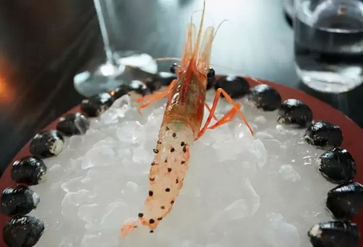 Japanese Dark Cuisine - Horror Disgusting Ant Sashimi - iNEWS
