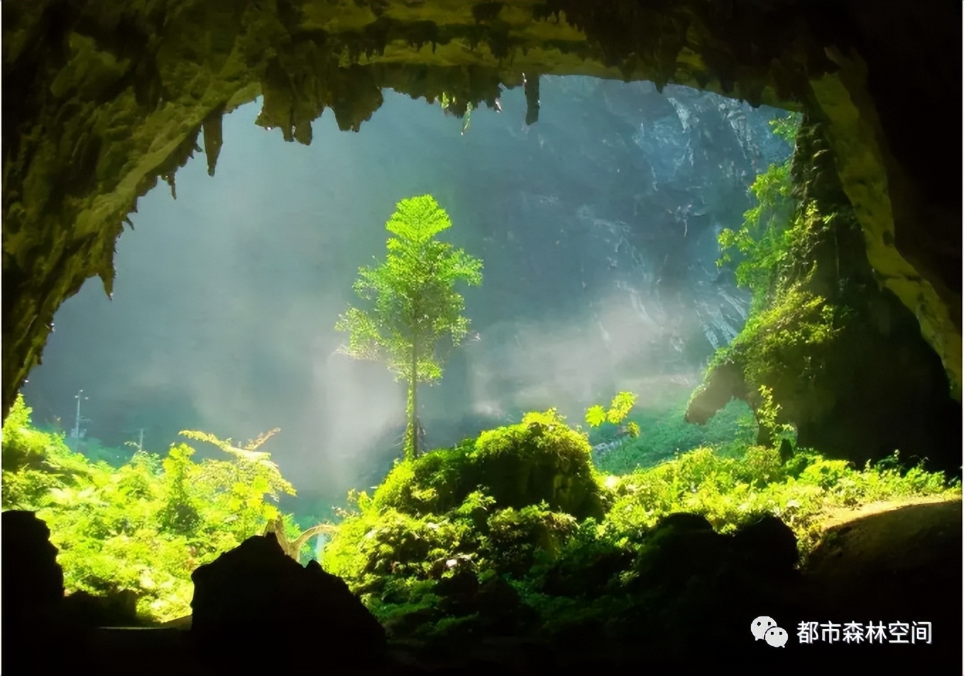 What impact does the level of negative oxygen ions have on our health ...