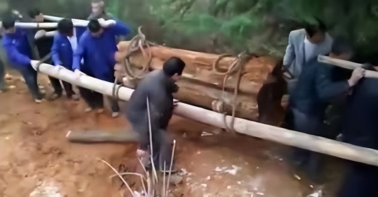 The Millennium Immortal Myth of Jinsi Nanmu-Talking from Ancient and ...