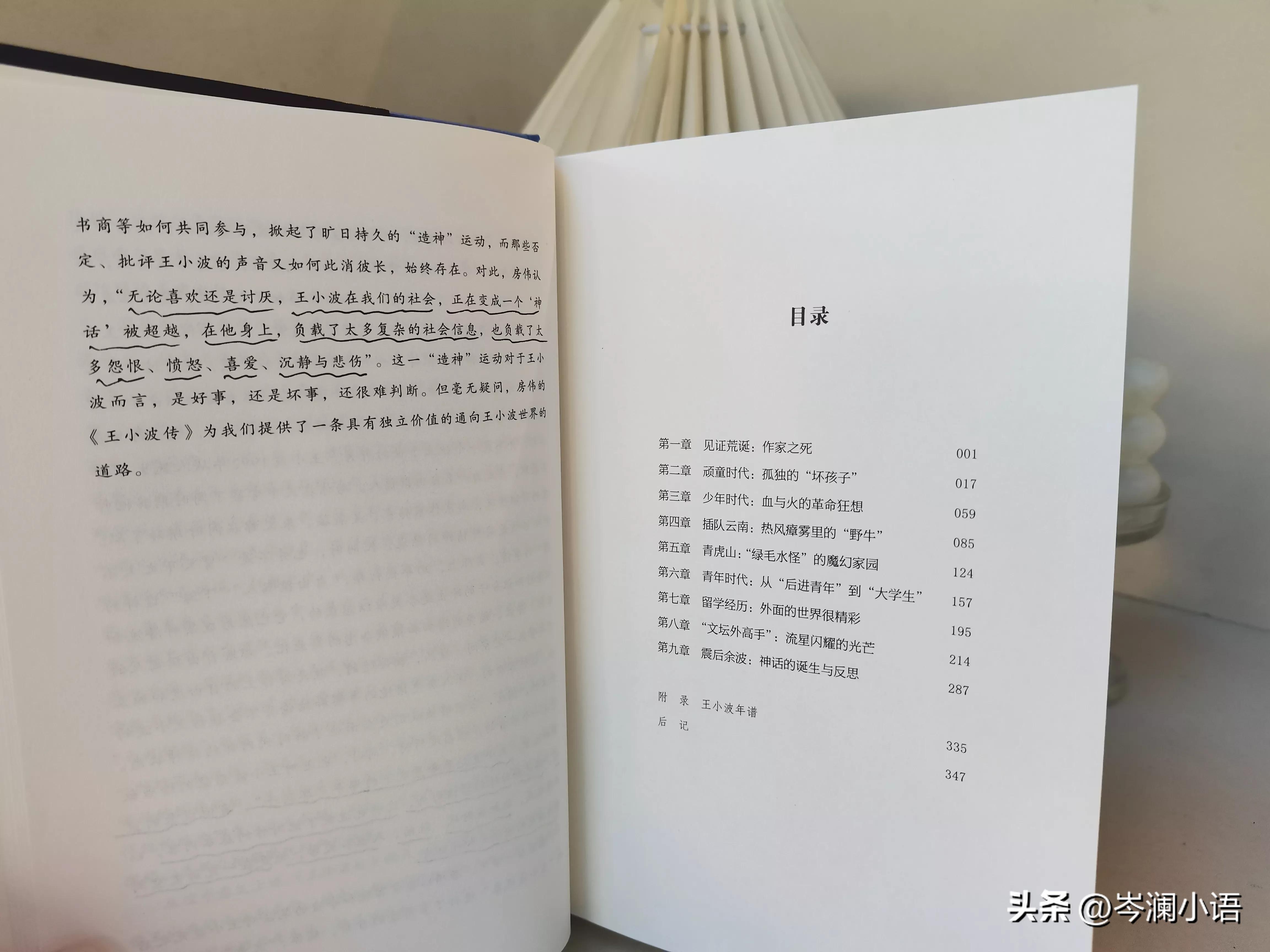 The Wang Xiaobo in my mind hides a soft and kind heart under his ...