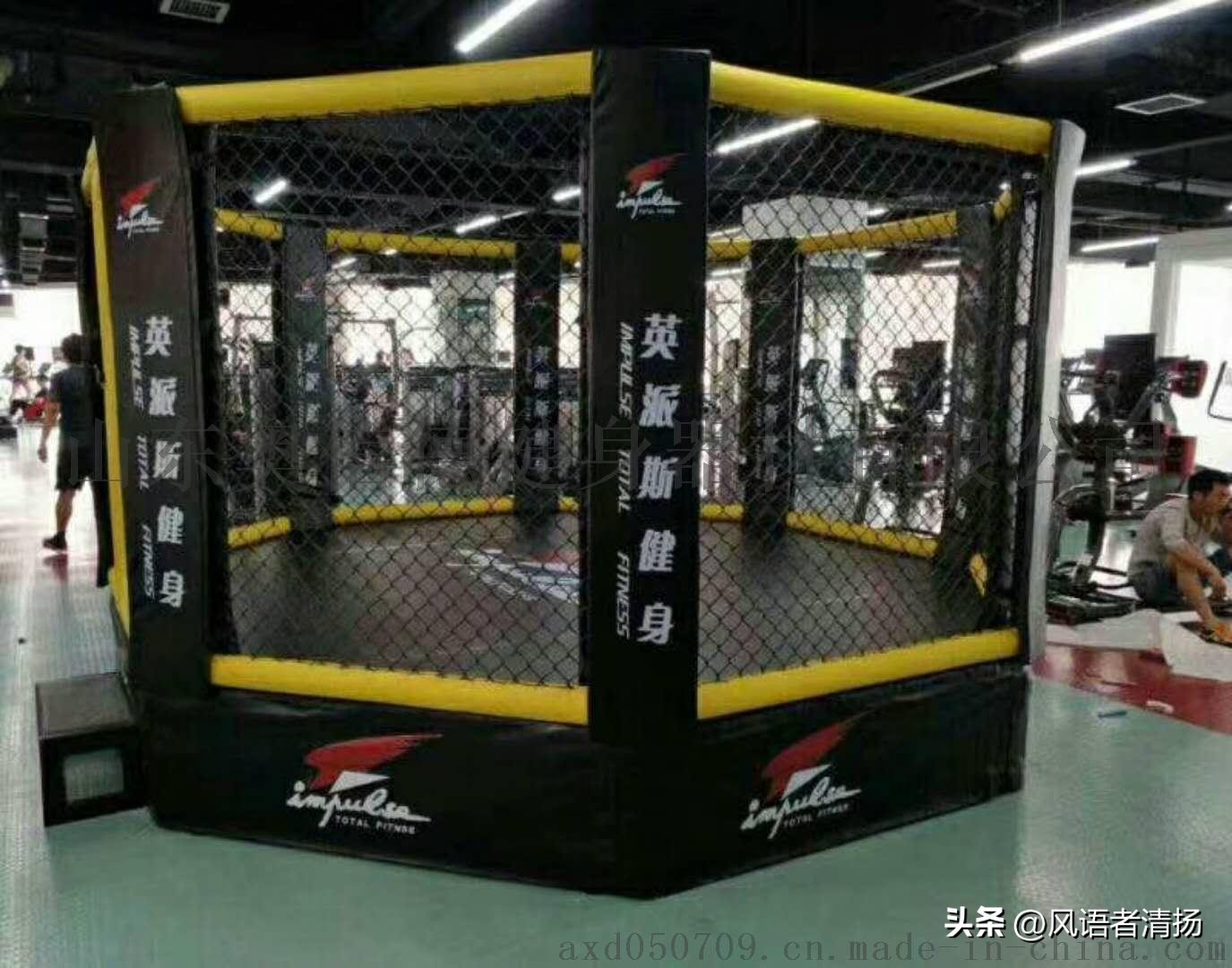 The Sincerity of "Inside the Octagonal Cage", the Brightness Outside ...