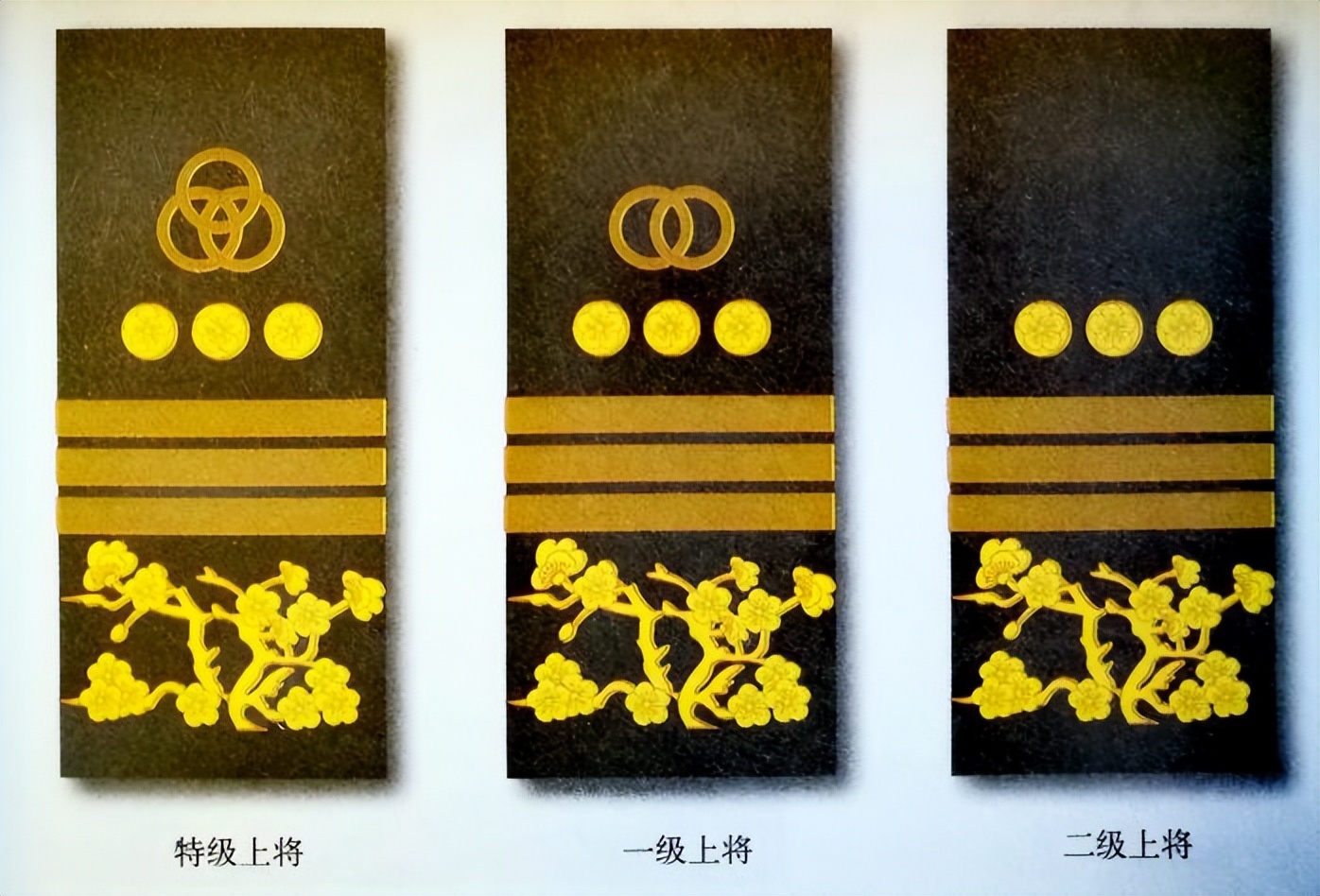 Origin of the rank of general - iNEWS