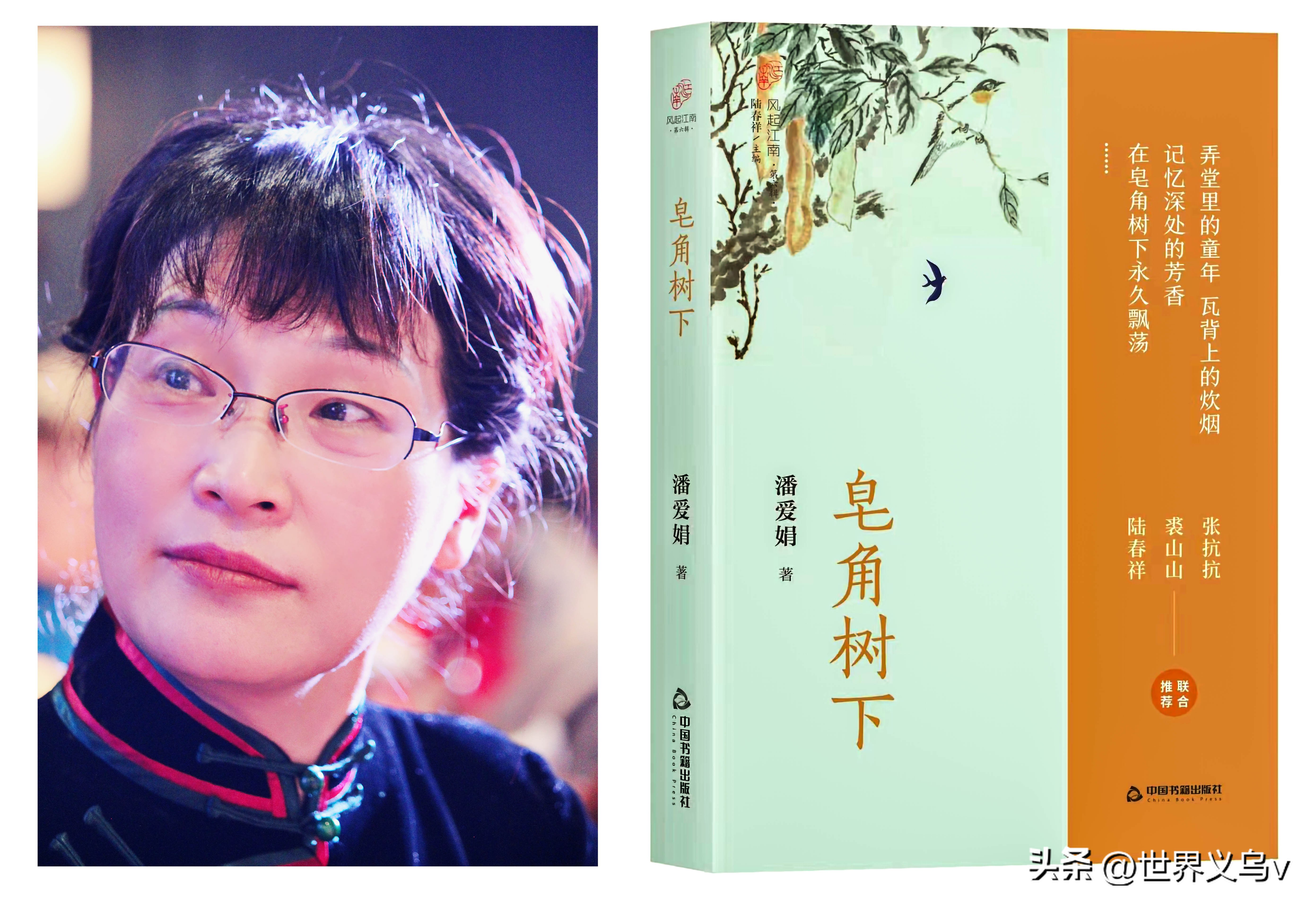 She came from the countryside——Thinking of reading Pan Aijuan's new ...