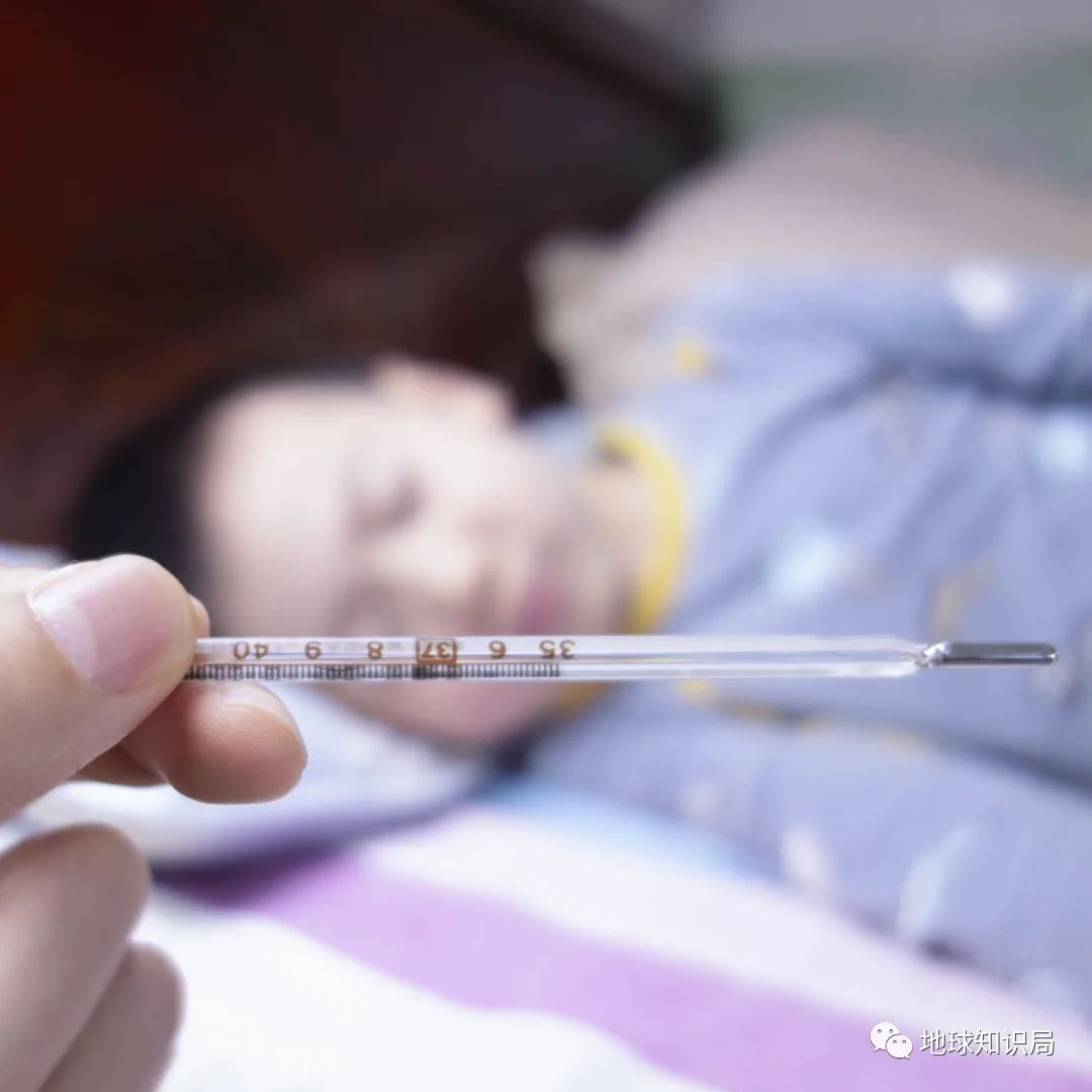 Why does your body temperature go up and down? - iMedia