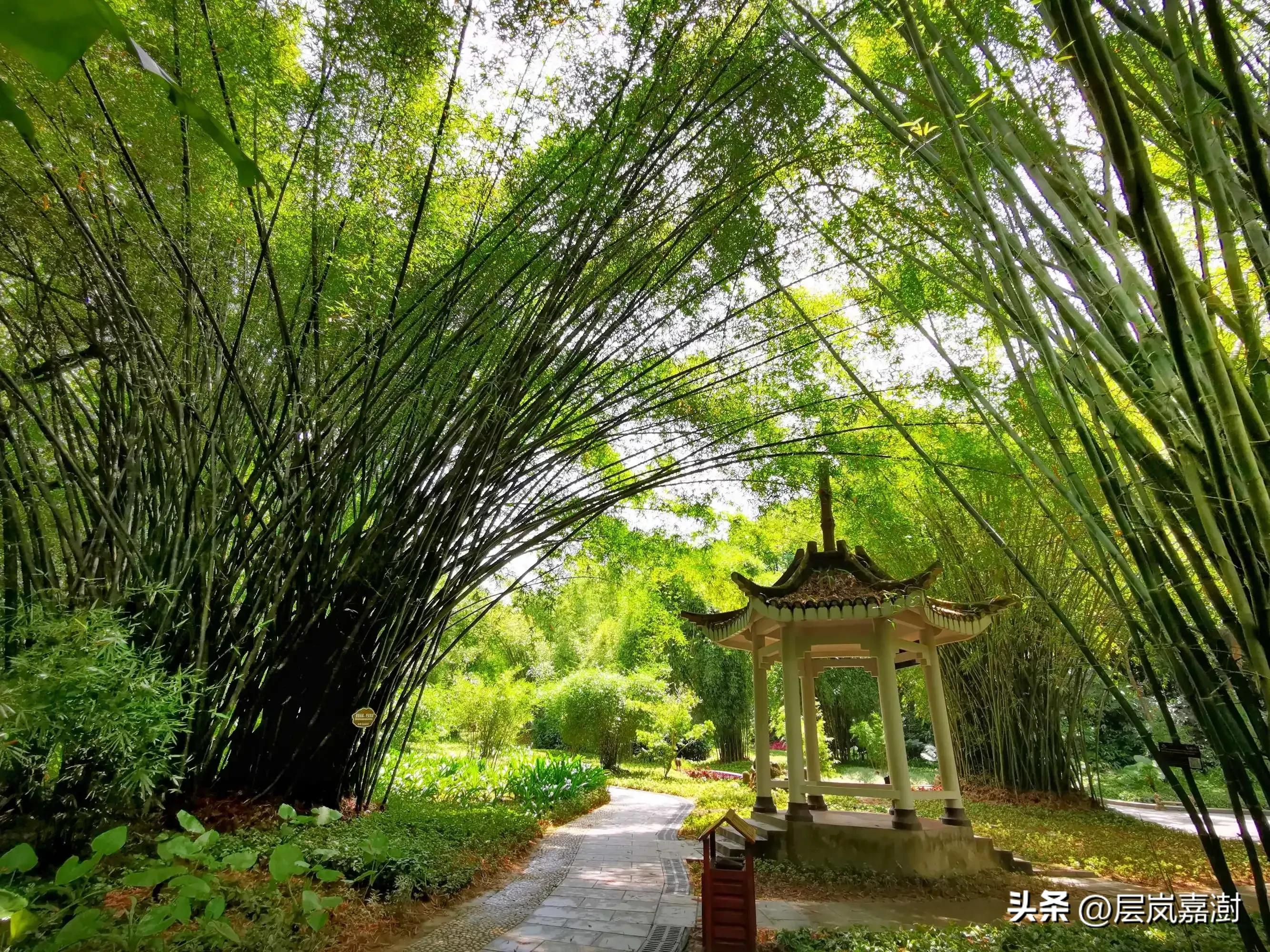 Louguantai Hundred Bamboo Garden, a romantic secret place unique to ...