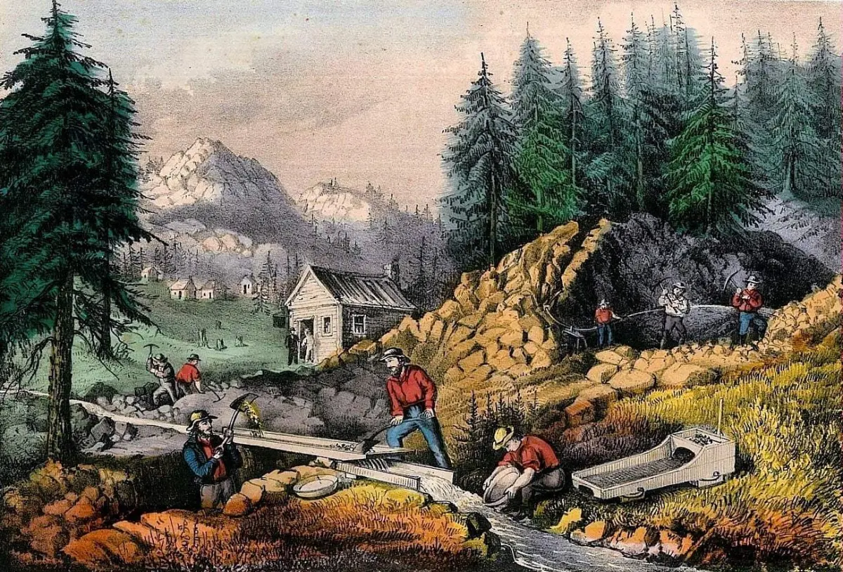 What did you eat during the Gold Rush in America?15 Weird Foods From ...
