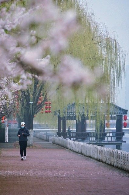 Appreciation of Tang Poetry "Spring Dawn" by Meng Haoran - iNEWS