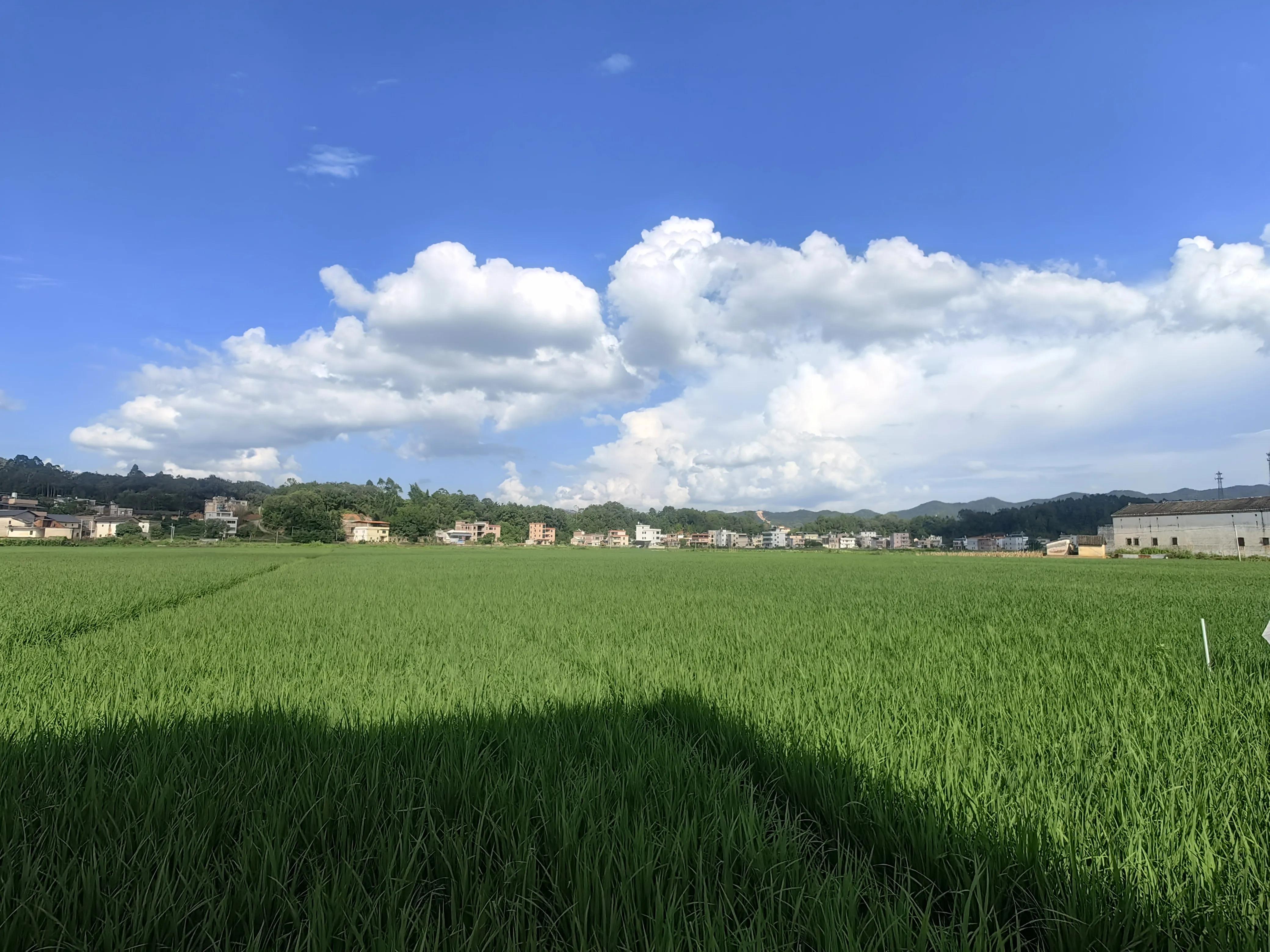 How beautiful is the hidden house by the Wanlu Lake? - iMedia