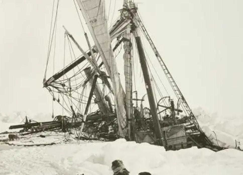 In the 17th century, what was the purpose of European expeditions to ...