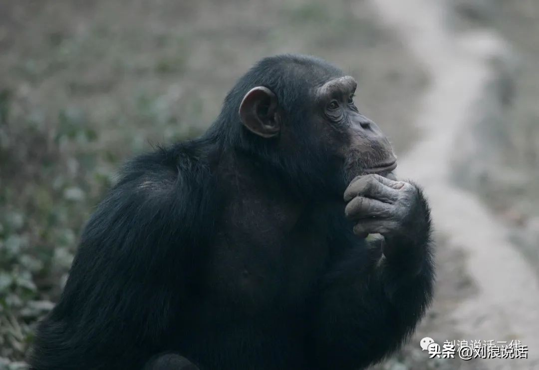 The so-called entertainment stars and rock stars are nothing but ...