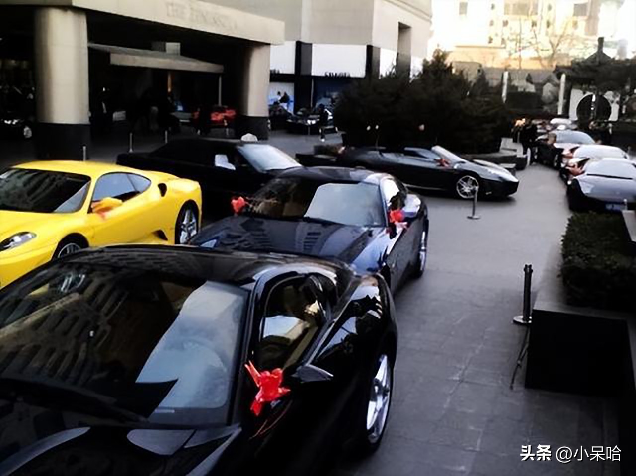 The female drama king fried, led by Liu Tao, Qin Hailu, and Chai Biyun ...