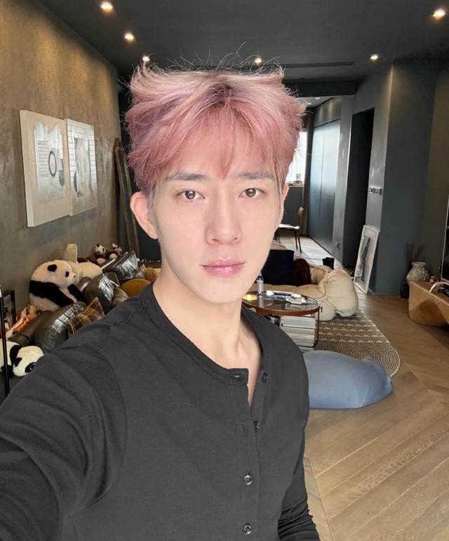 Jing Boran dyed his hair pink at the age of 35, and changed the look of ...