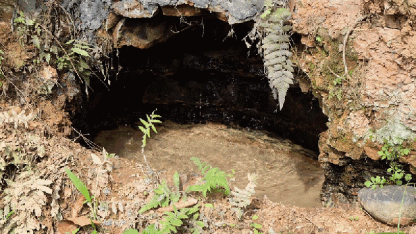 Teach you a trick to "seal the Yongquan Point", which can automatically ...