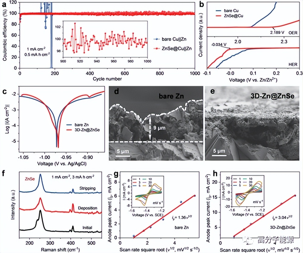 Song Weixing/Zhi Chunyi "AEM" One-step construction of a porous zinc ...