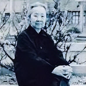 "Once Upon a Time in Liyuan" Chen Suzhen, the master of Henan Opera ...