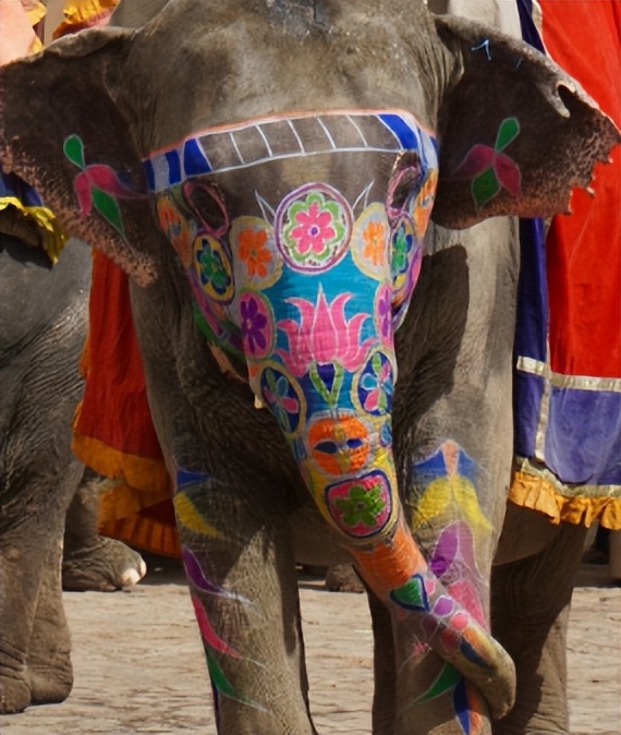 Elephants Walk Between Heaven and Earth: The Fantastic Ecological ...