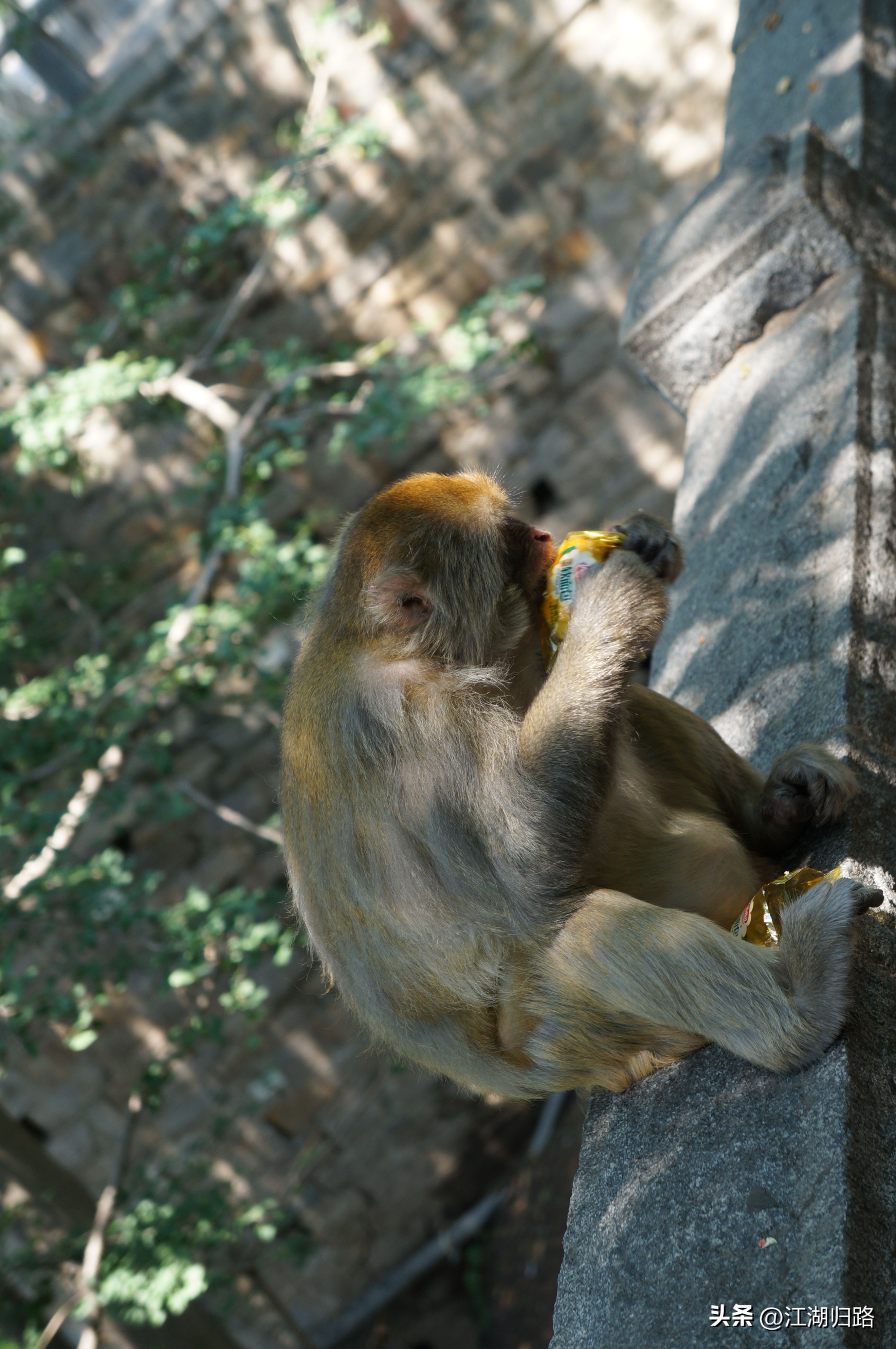 Sage Sun on Huaguo Mountain, Monkey King in Shuilian Cave - iNEWS