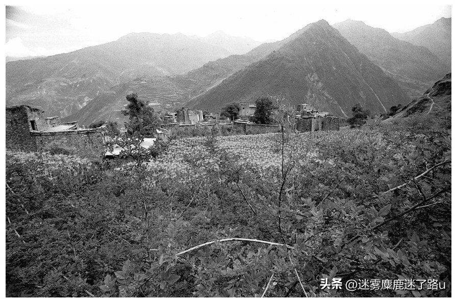 Ma Yuan is old and strong - iMedia