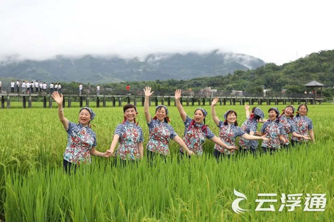 Greater Bay Area tourists take Wangluoding village tour - iNEWS