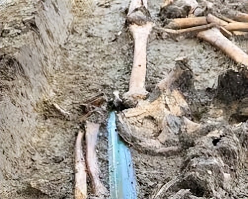 Shock! 3,000-year-old bronze sword unearthed in Germany - iNEWS