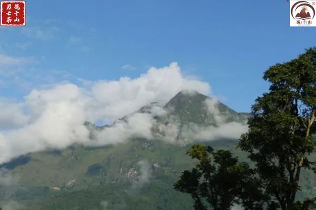 There are three heroes in Bangdong, and three treasures in Yongde! - iMedia