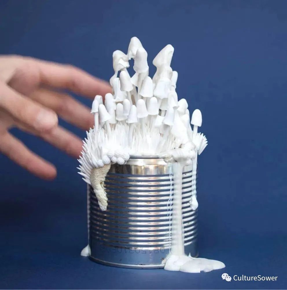 Inspiration from nature - from waste to art - iNEWS