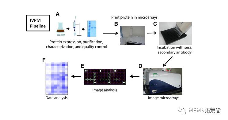 Expert in the field of accurate spotting---Biological microarray ...