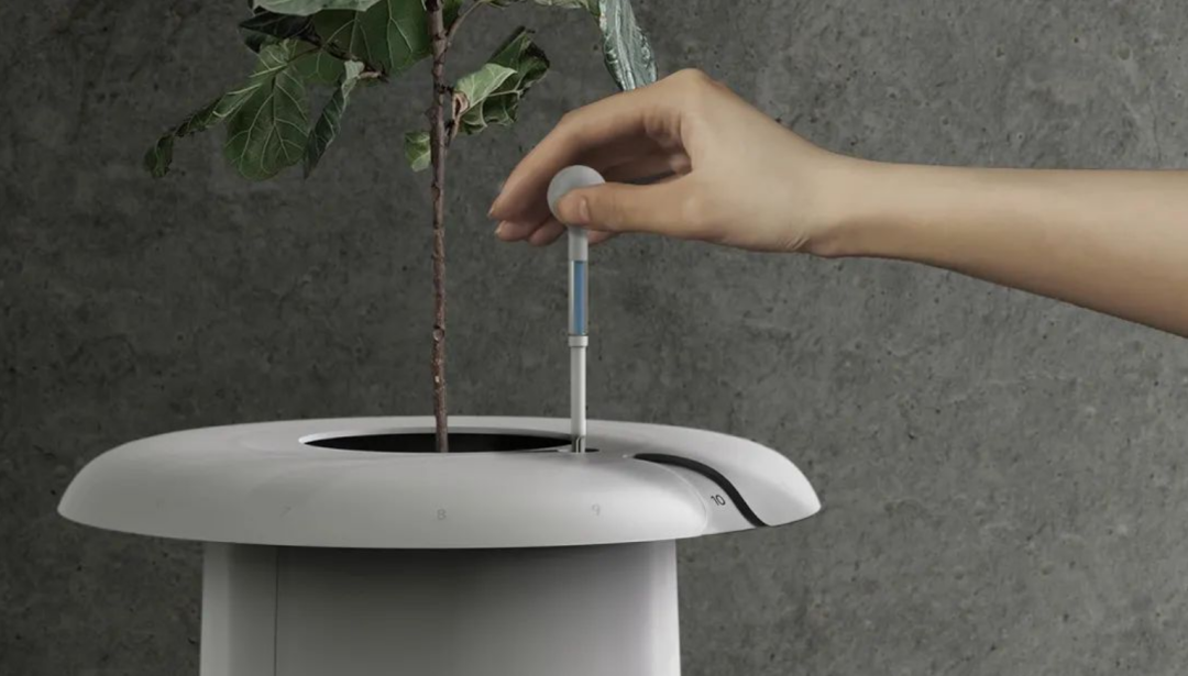 "10 Styles" - Creative Flower Pot Design - iNEWS