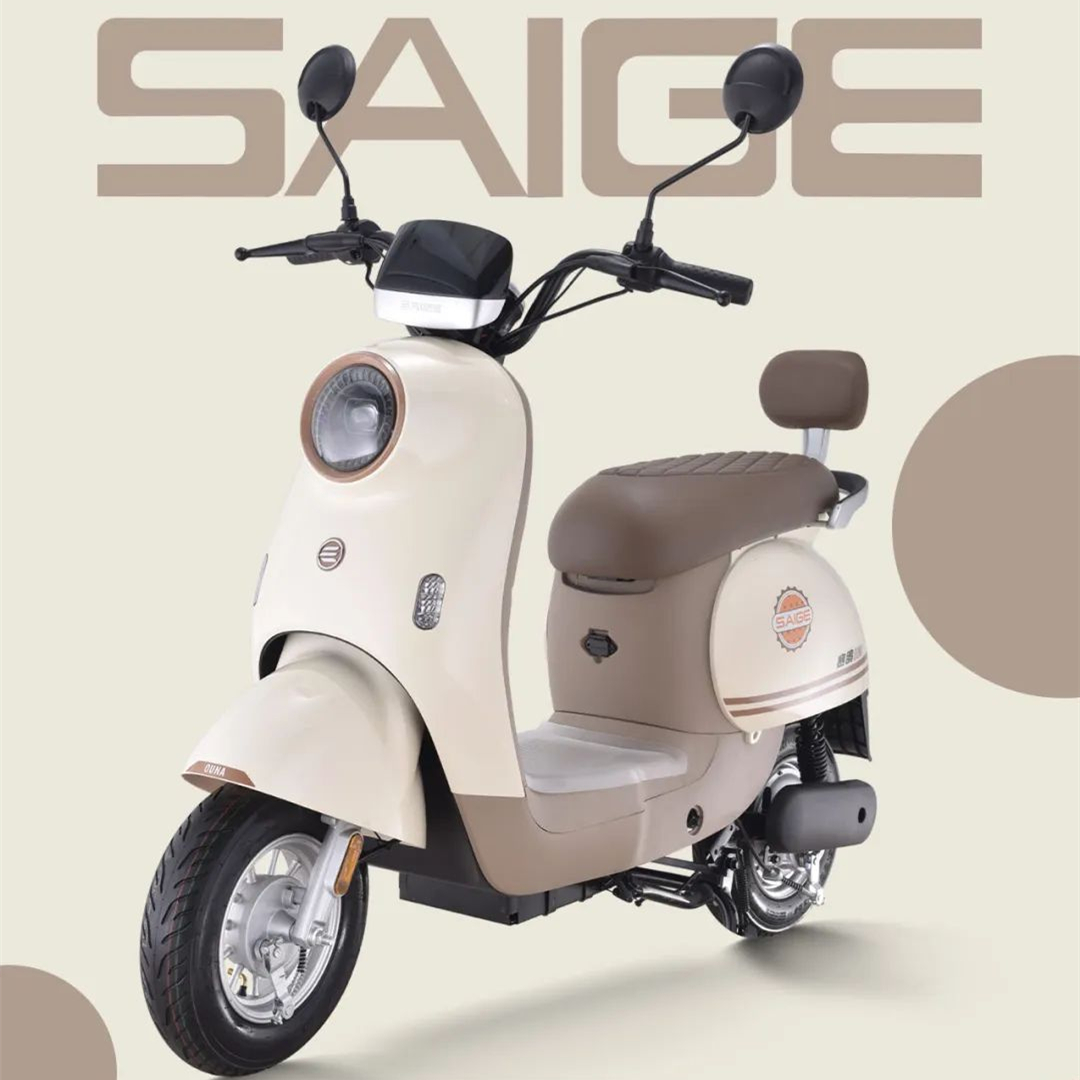 Saige launched a new electric car, equipped with 35H magnetic steel ...