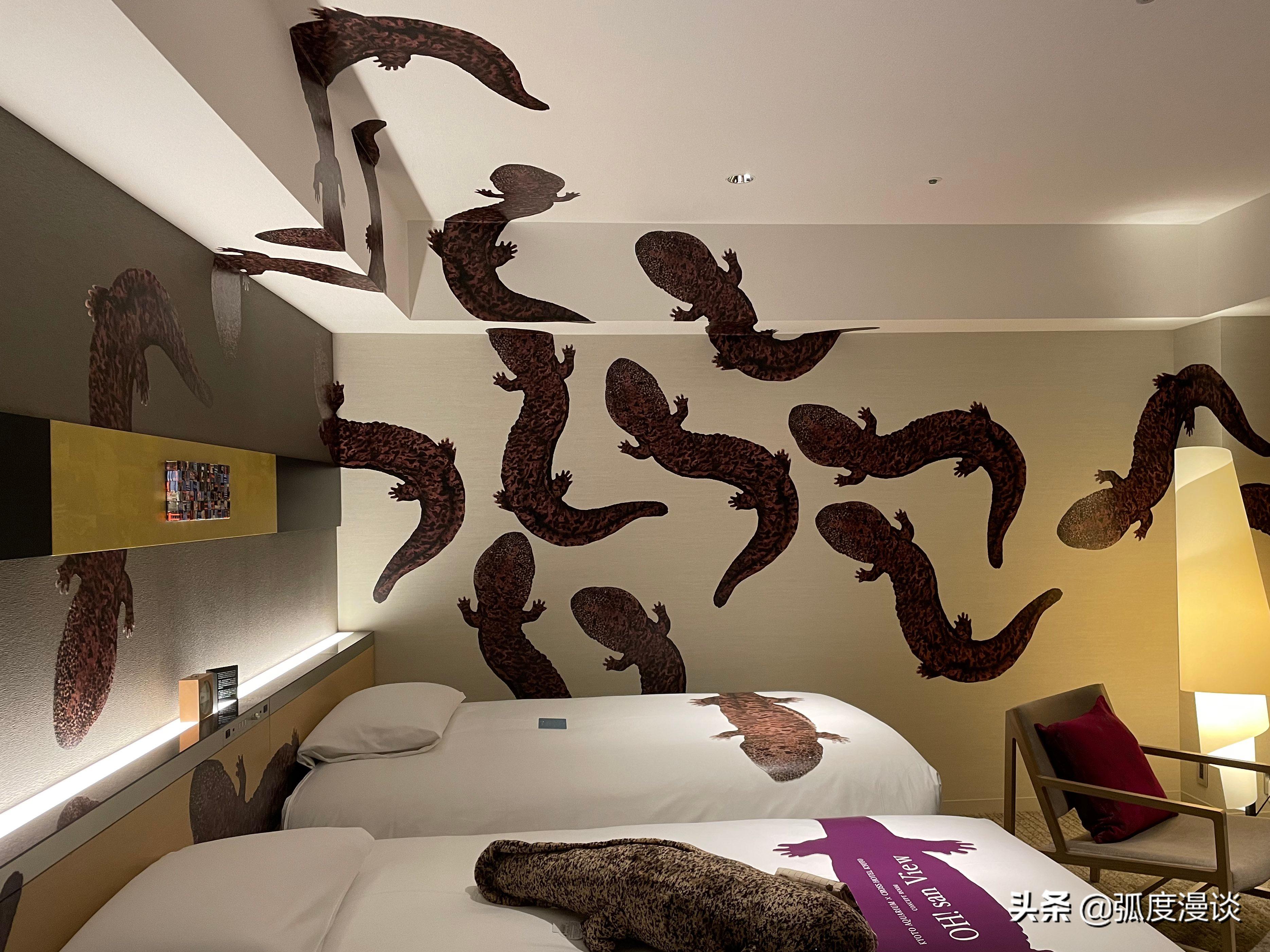 "Salamander themed room"!Girls can't live - iNEWS