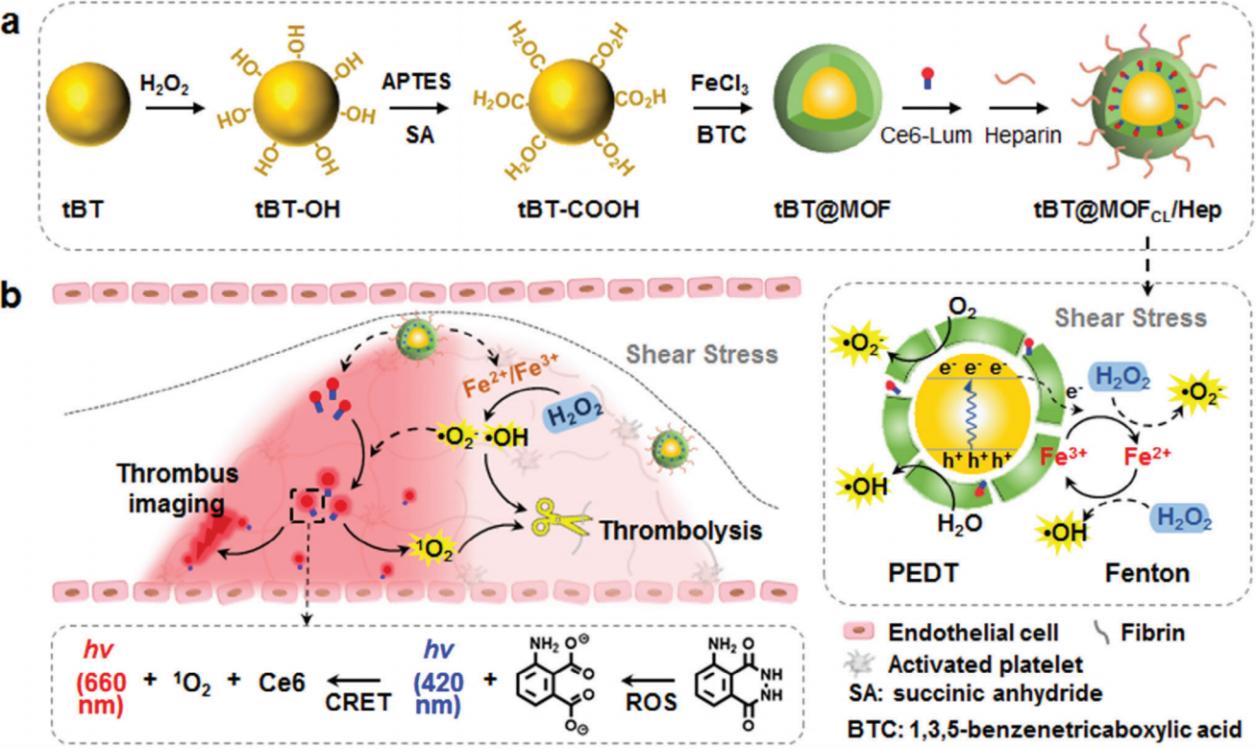 Adv. Funct. Mater. Team of Professor Li Xiaohong of Southwest Jiaotong ...