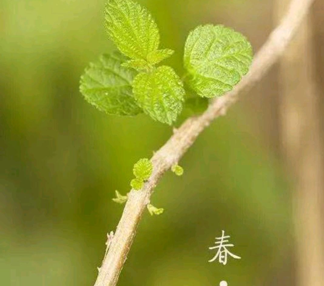 Who should hide from spring soon? Why should they hide from spring? How ...