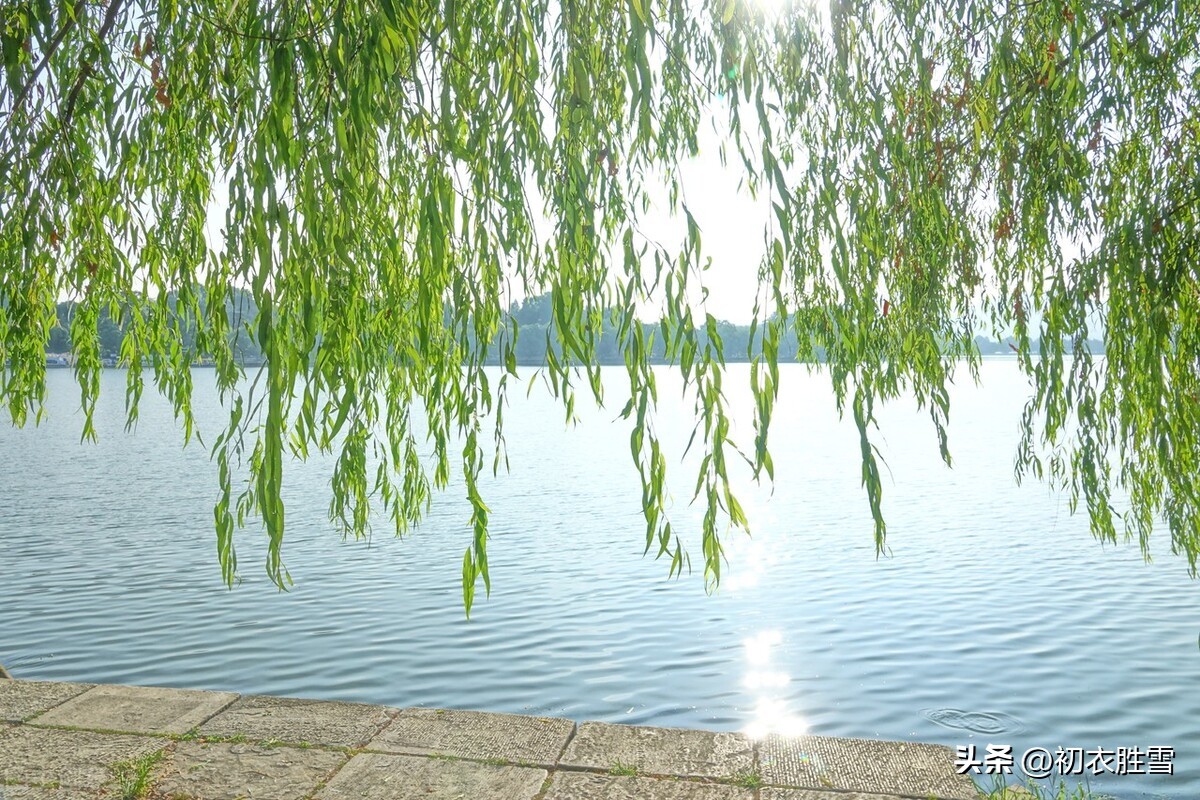 Six Songs of Autumn Willows in Qingli Early Autumn - iNEWS