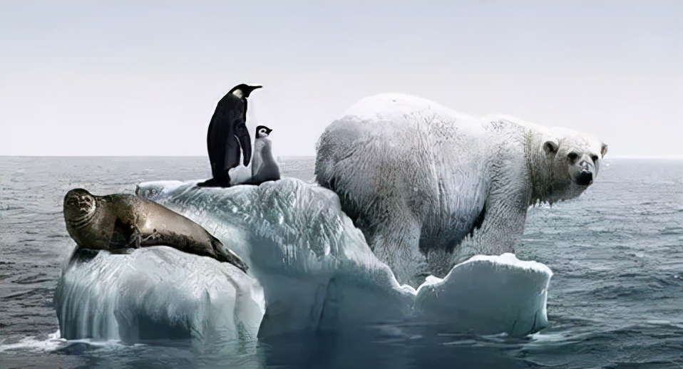 The permafrost thaws, the remains of a hungry lion cub appear, still ...