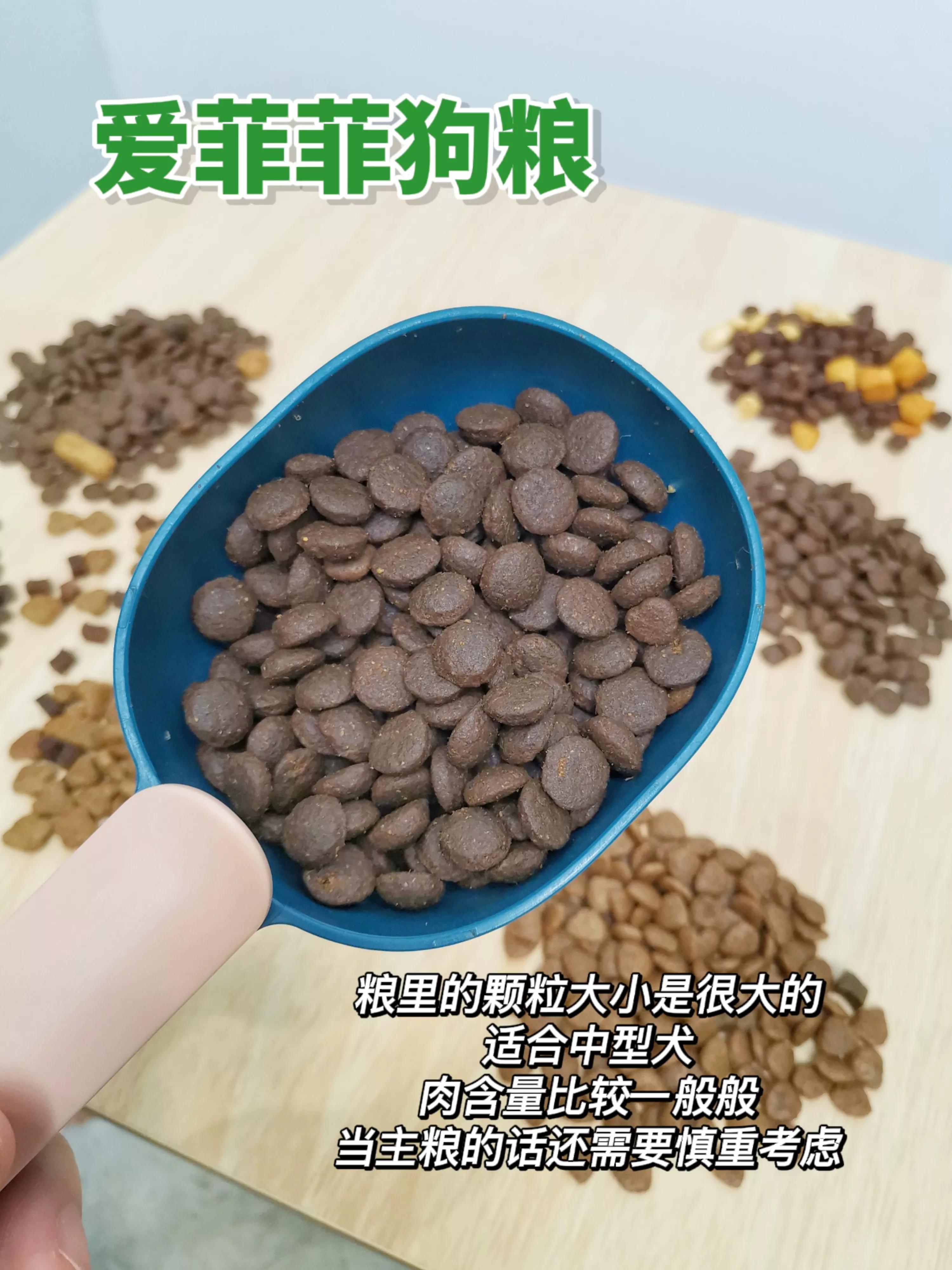 Top ten junk dog food!Don't look at it makes you cry - iNEWS