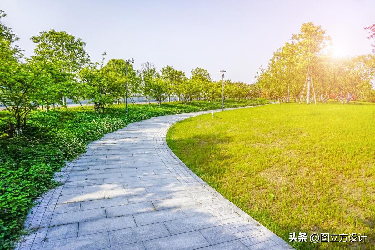 Park landscape design - iMedia