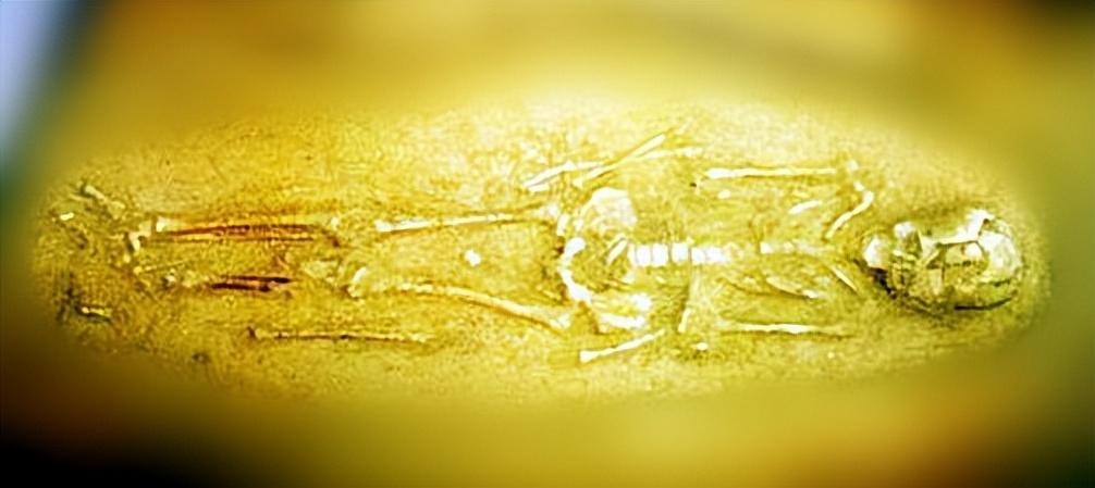 The "womb" of the Yellow River supports the unsinkable China - iNEWS