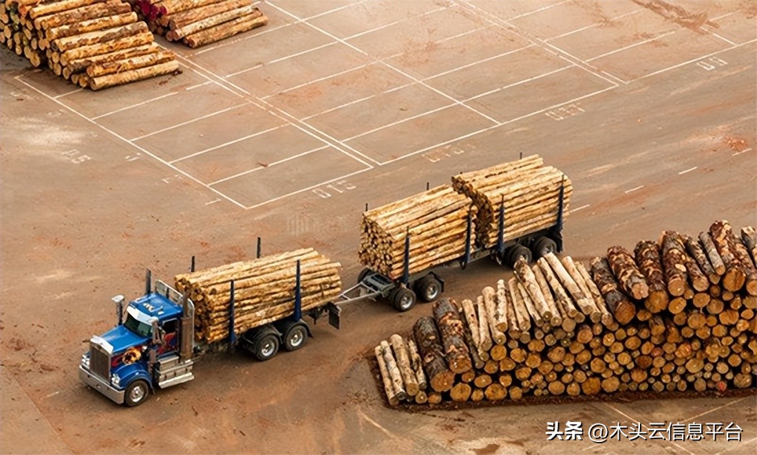 After the adjustment of timber transportation priority, the unprocessed ...