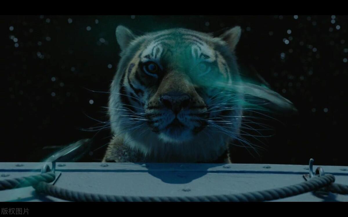 "The Fantasy Drifting of Boy Pi": A Vast Ocean Created by Digital ...