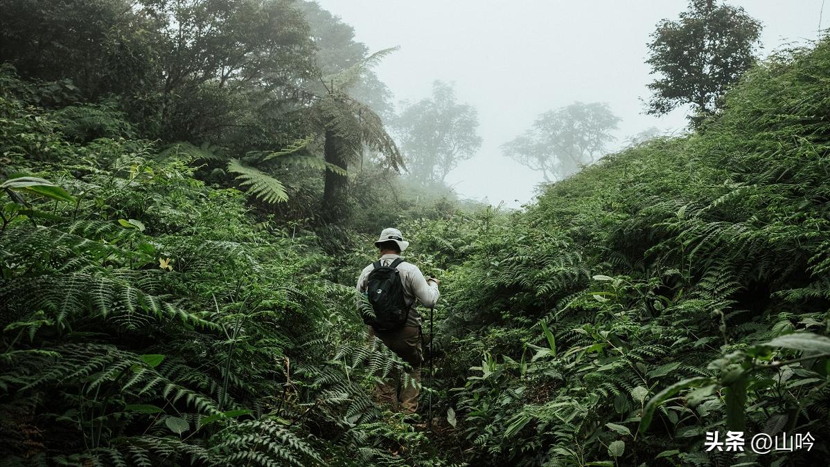 Learn about the "Rule of 3" and the "7 Survival Priorities" and keep in ...