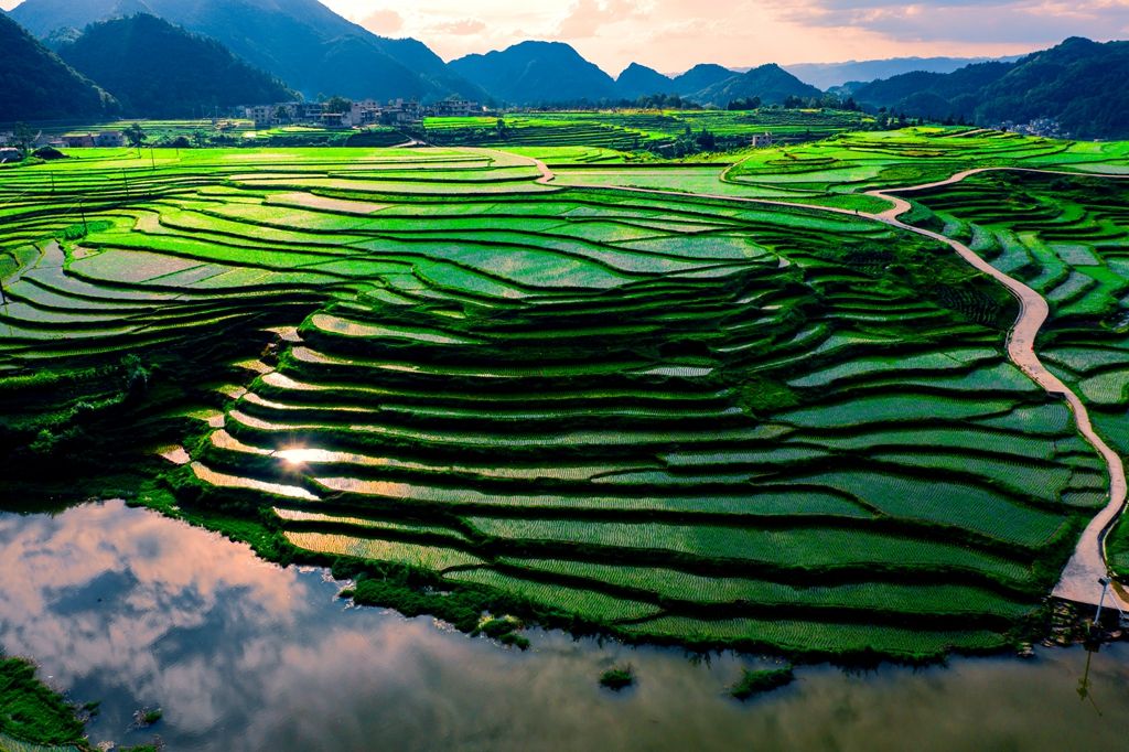 The Damei Longji Terraced Fields are picturesque and you must visit ...