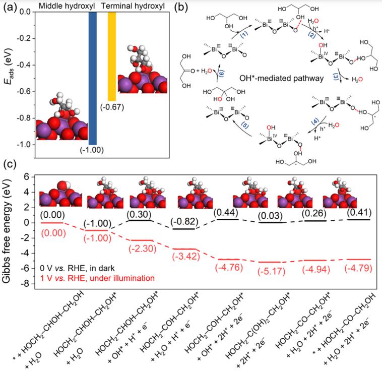 Photocatalytic glycerol oxidation, and Bi2O3 enhances the adsorption of intermediate hydroxyl ...