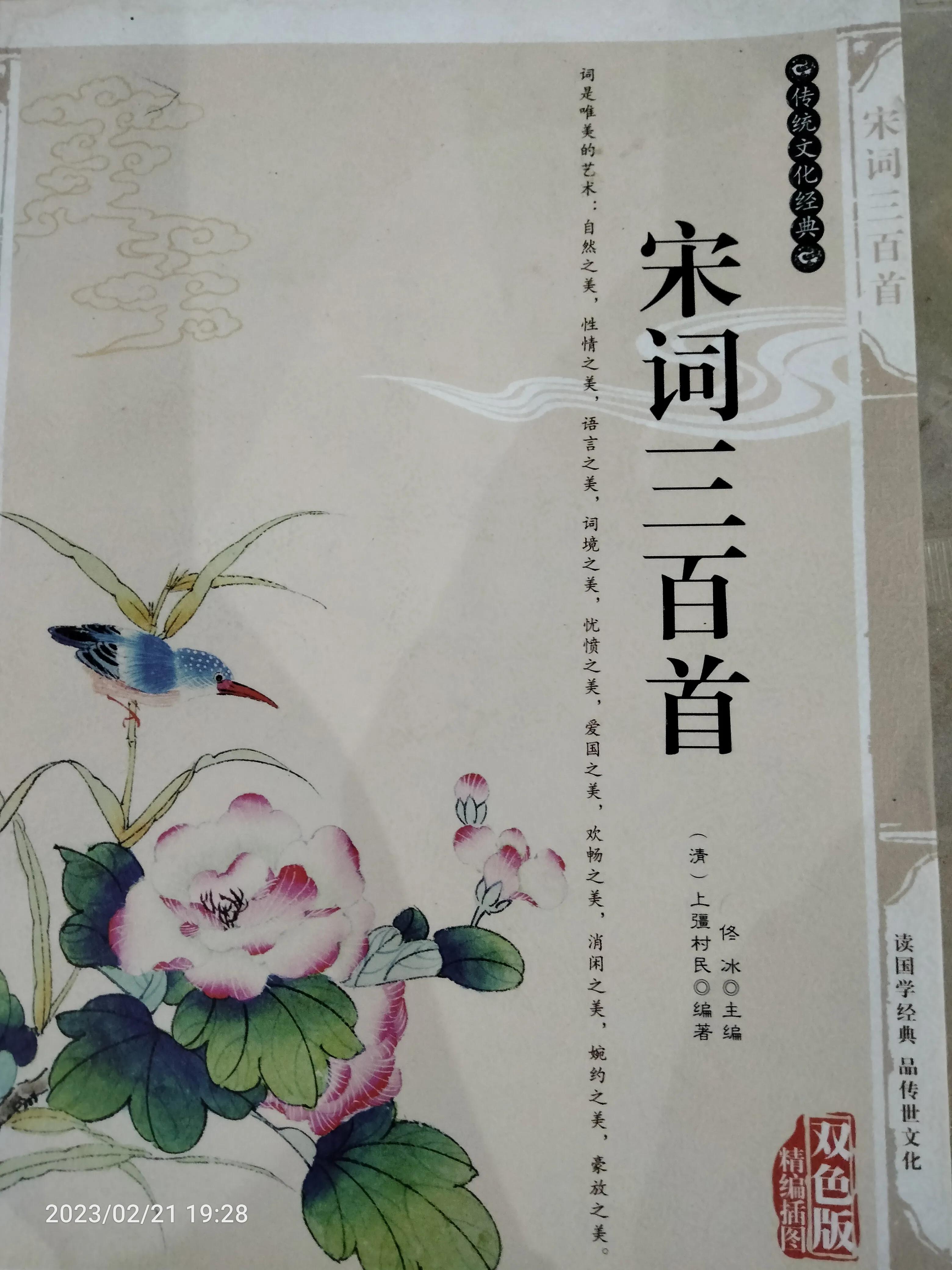 Three Hundred Song Poems - iMedia