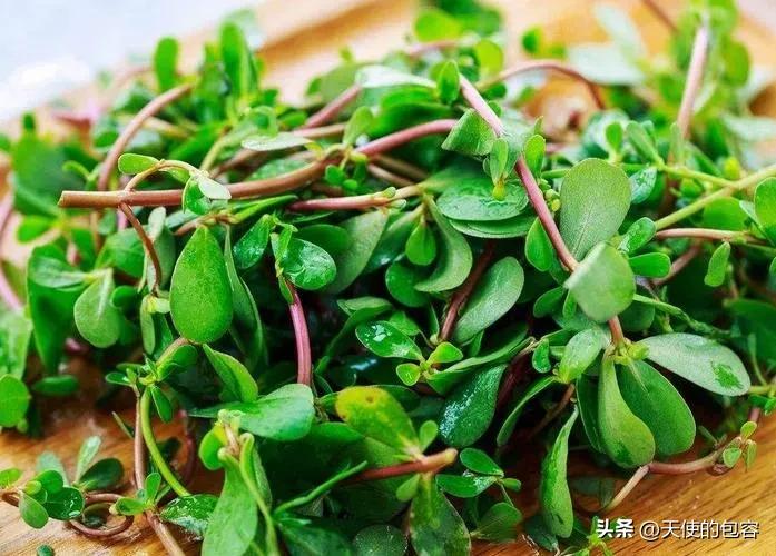 "Purslane" is a treasure, it can be used to boil water to drink, or it ...