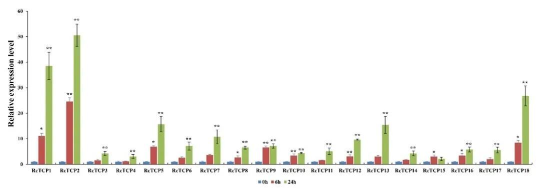 Response of TCP genes in rose to abiotic stress and fungal diseases ...