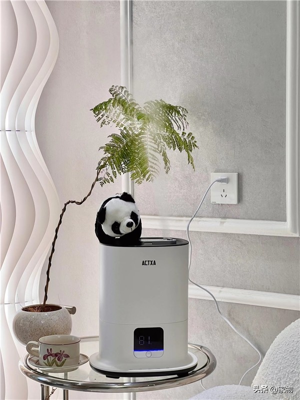 Revitalize the dead corners of the home, do you know where is the best ...