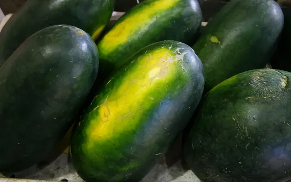 Is Black Beauty Watermelon Poisonous? - iNEWS