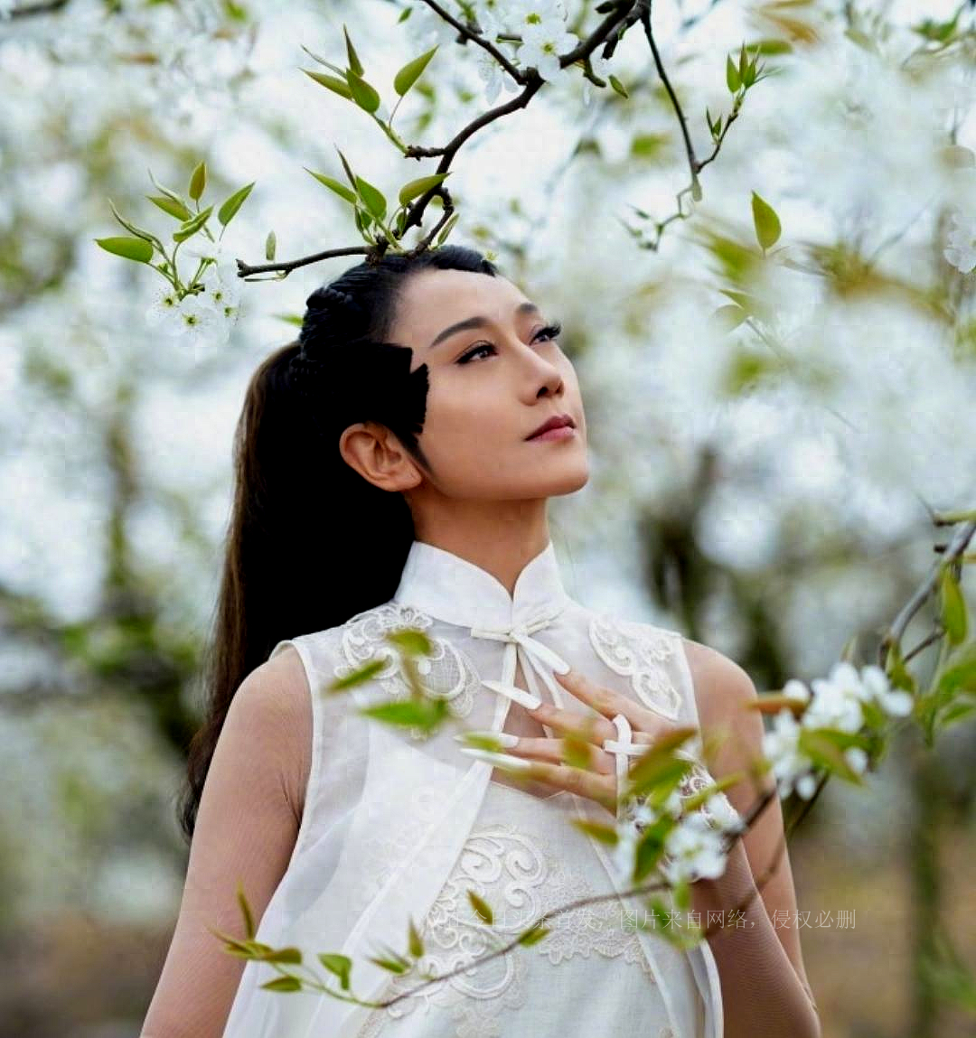 G-strings were all on stage in Yang Liping's "Dance of Yin and Yang ...